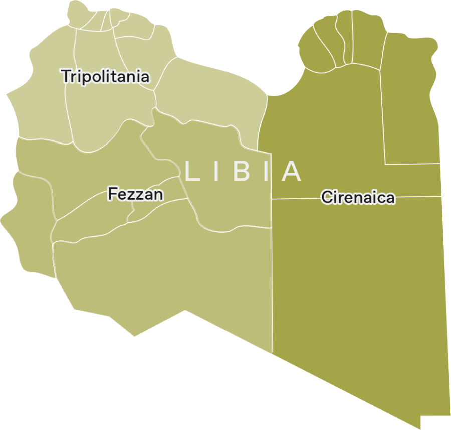 Libya, the battle of Fezzan - IrpiMedia